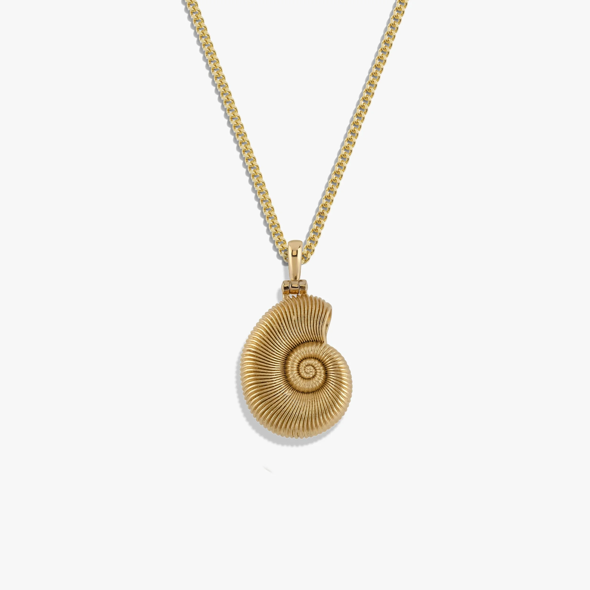 Deep Sea Ammonite Shell Necklace - Borderfree